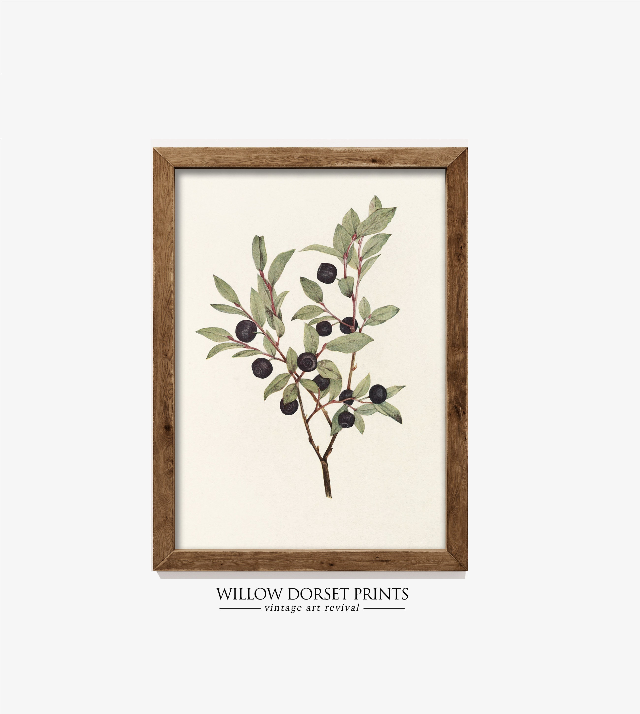 Huckleberry Print Printable Vintage Art Farmhouse Kitchen Botanical ...
