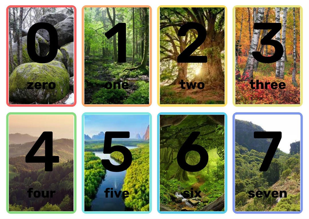 Nature Number Cards 0-15 Printable Children's Learning Cards Children's ...