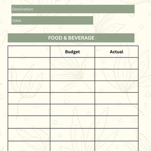 Vacation Budget Planner, Spring Break Budget Planner, Travel Budget Log ...