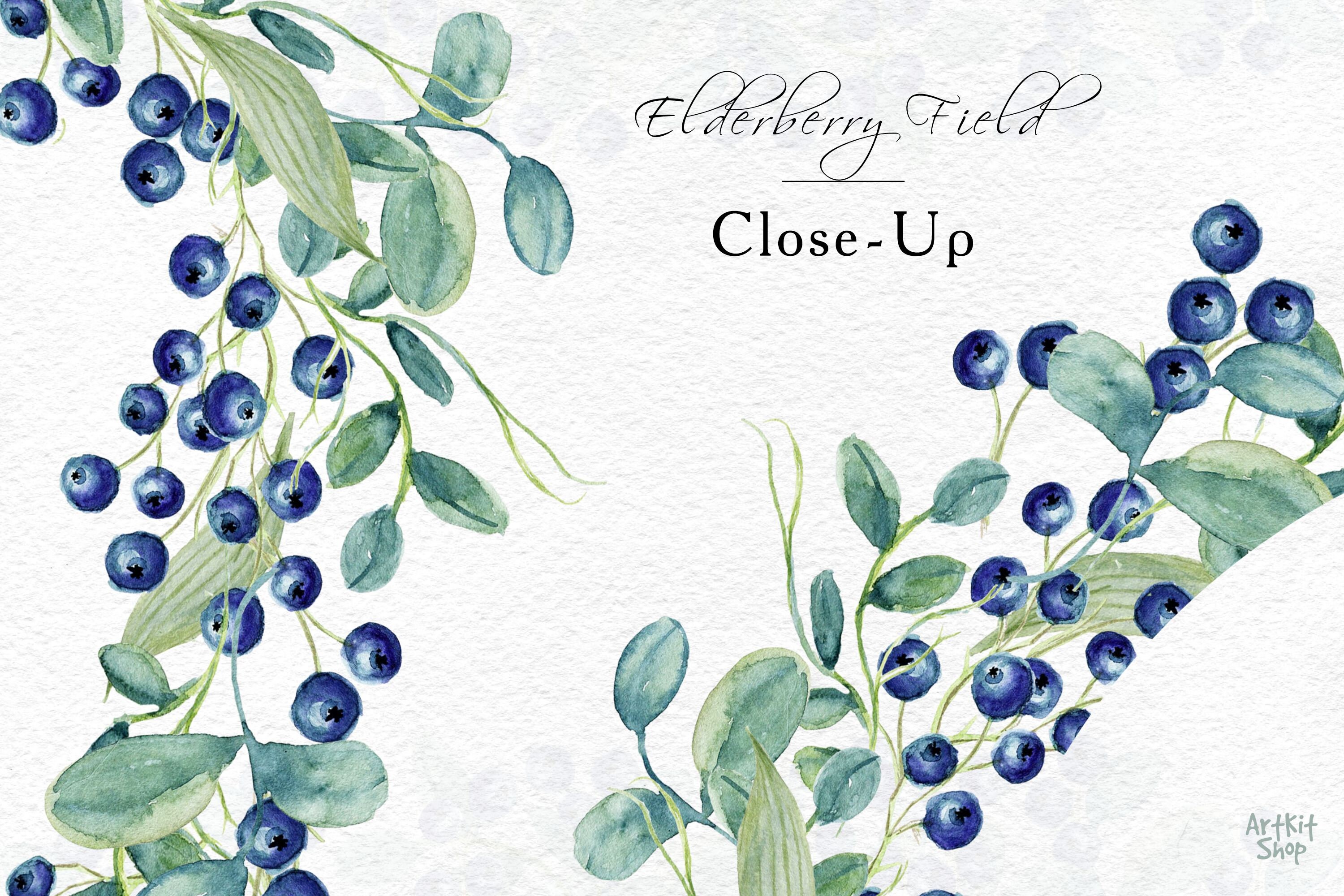 Blueberry Wreath Elderberry Frames Forest Berry Watercolor - Etsy