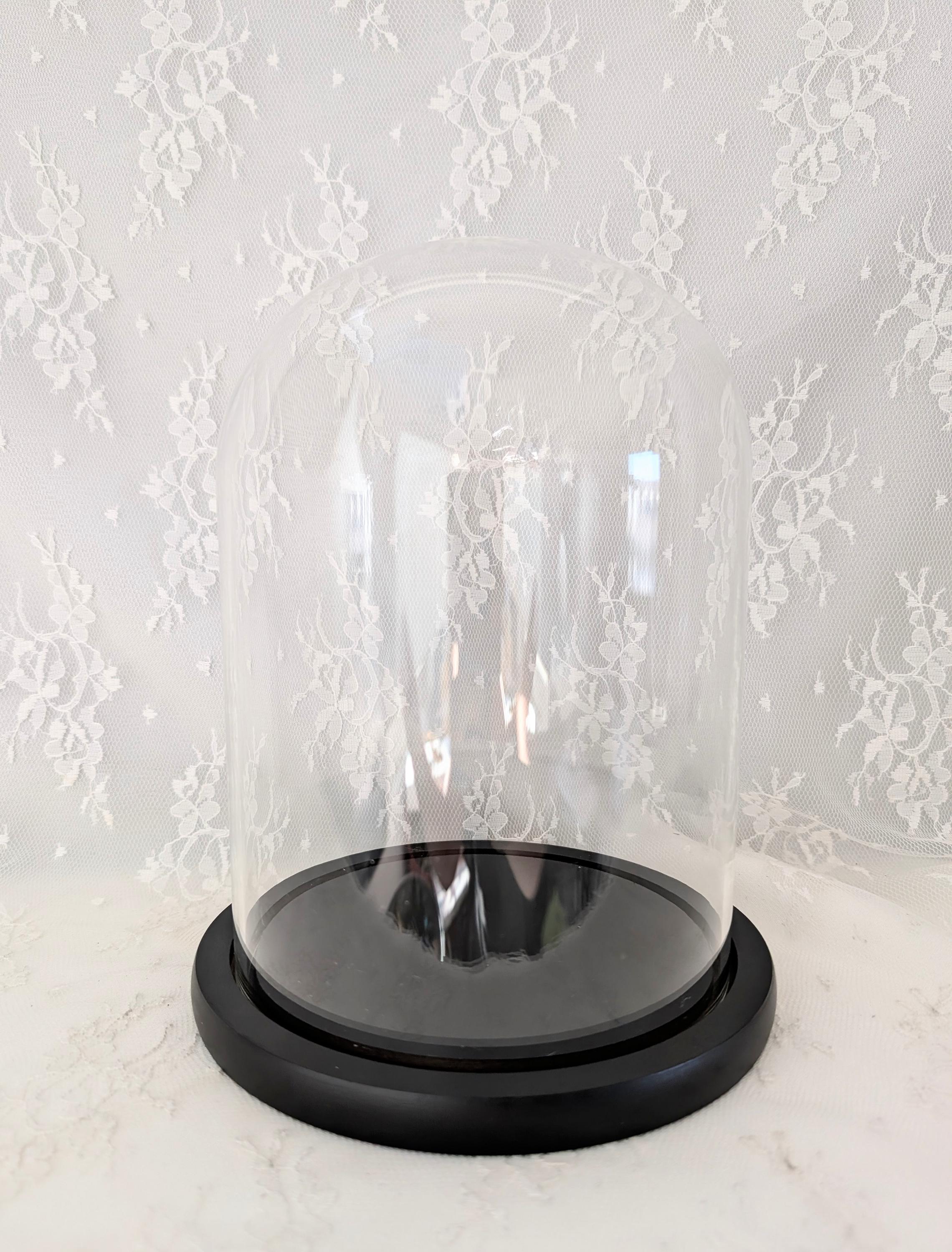 Glass Dome Cloche Display With Wooden Base, 6 X 8 Inches - Etsy