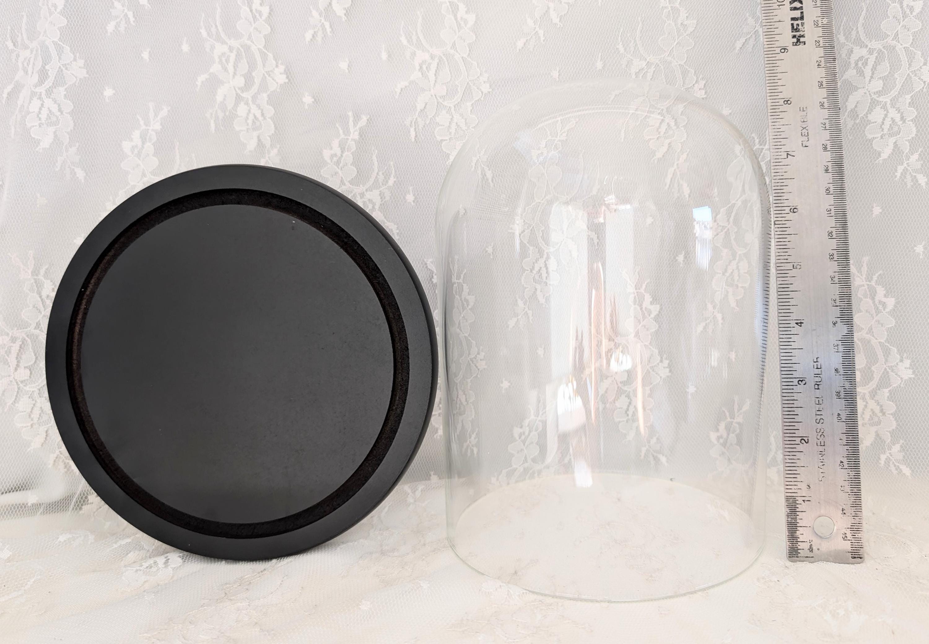 Glass Dome Cloche Display With Wooden Base, 6 X 8 Inches - Etsy