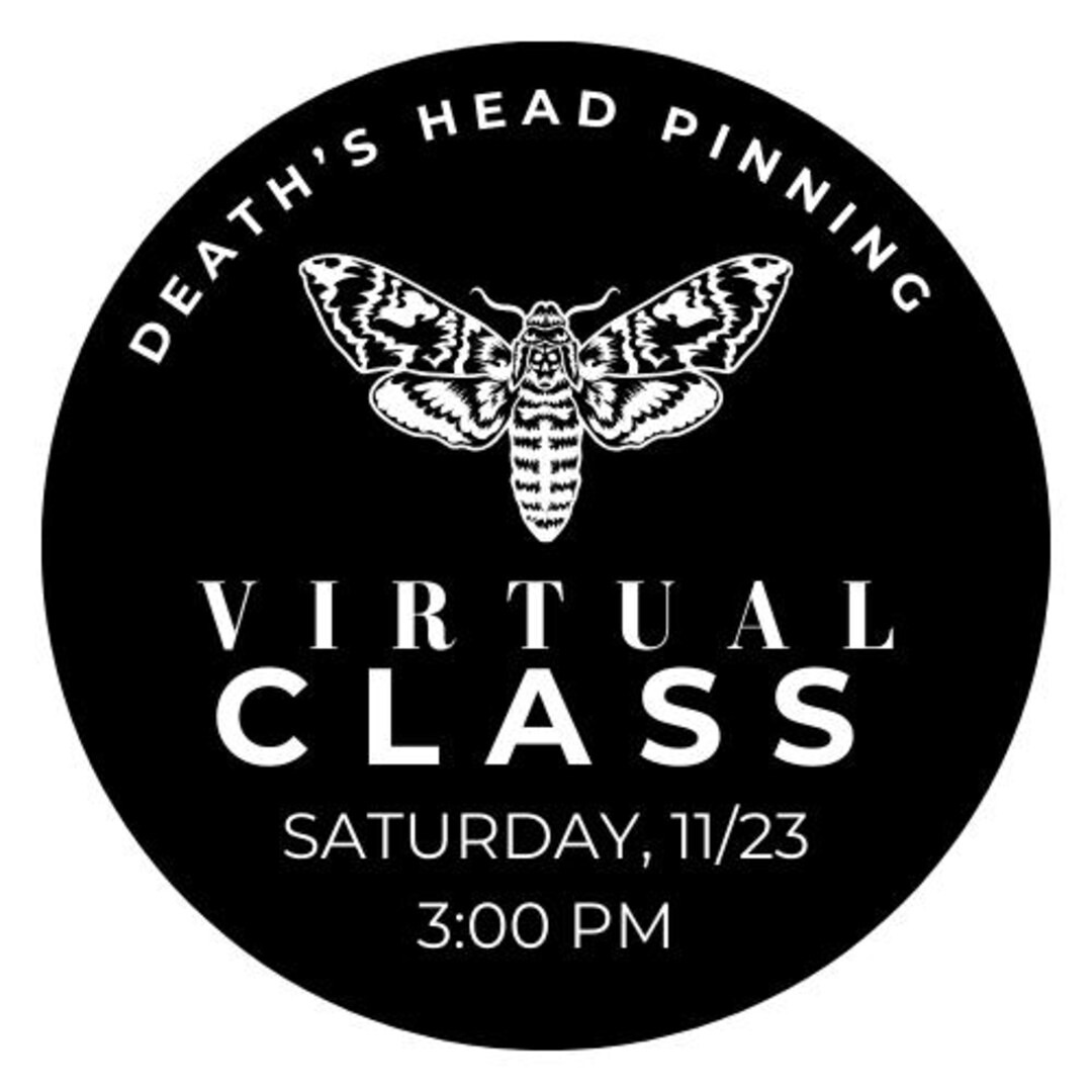 Death's Head Moth Virtual Pinning Class 11/23/24 3:00pm Complete ...