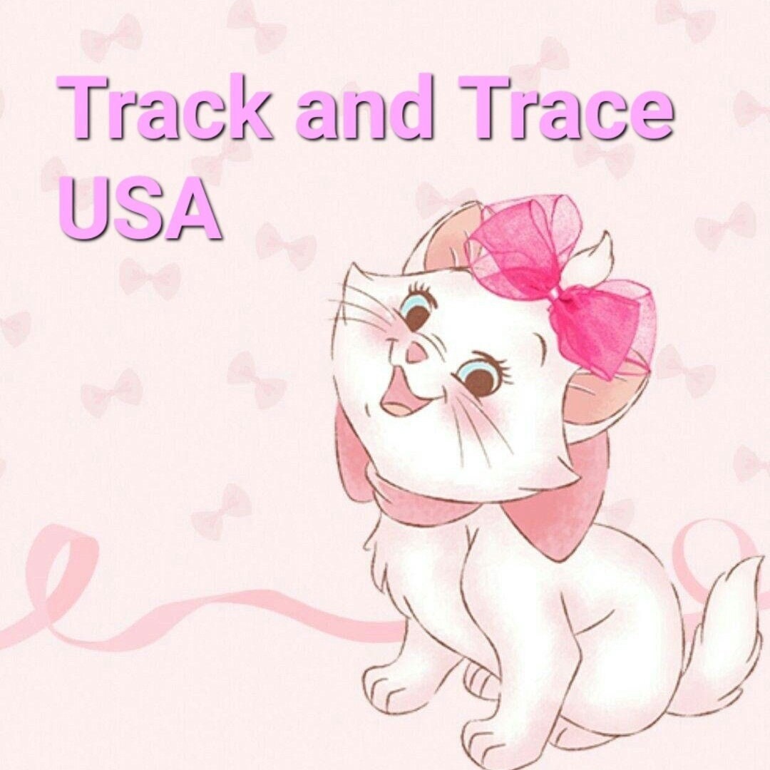 USA Upgrade Your Shipping to Track and Trace - Etsy
