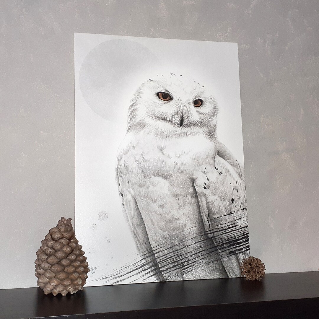Hawk Painting A4 and A3 Plume Cardboard - Etsy