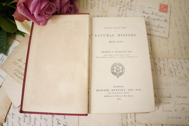 Rare Vintage Book, Curiosities of Natural History Fourth Series by ...