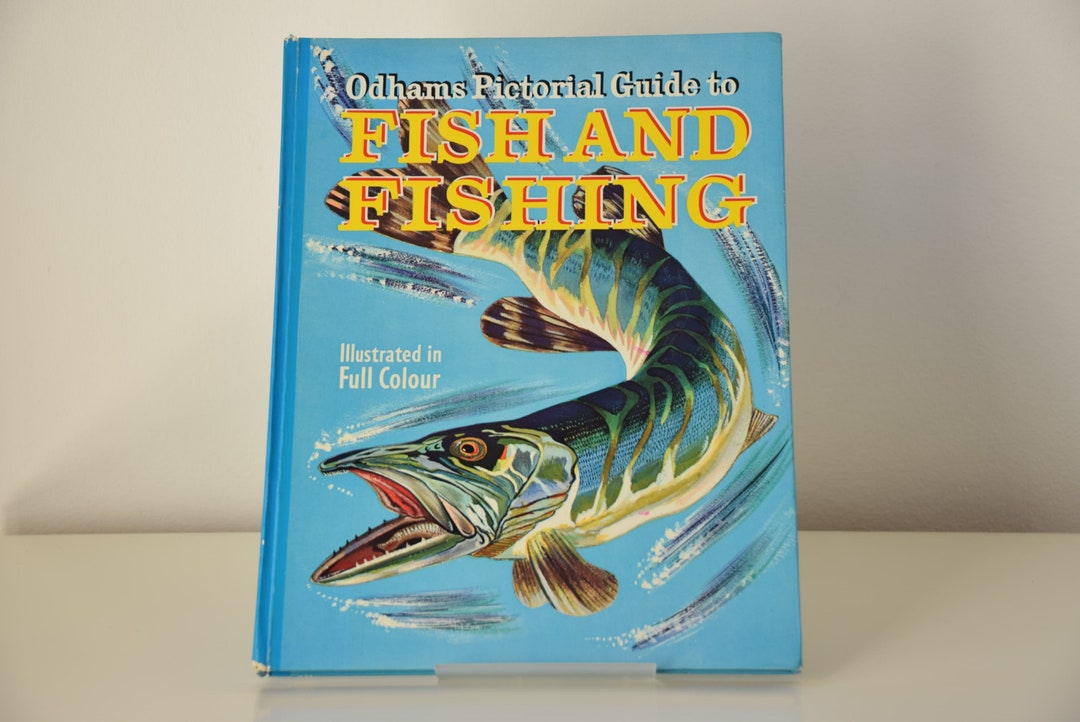 Vintage Children's Book, Odhams Pictorial Guide to Fish and Fishing by ...