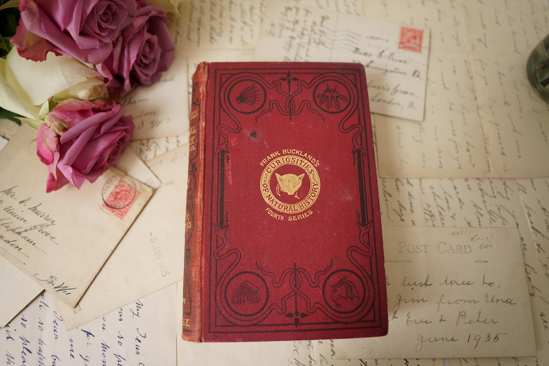 Rare Vintage Book, Curiosities of Natural History Fourth Series by ...