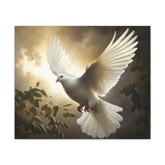 Top Christian Dove Background