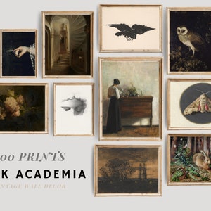 Dark Academia Wall Decor Mega Bundle of 200 Prints Cottagecore Prints ...