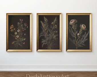Dark Botanical Gallery Wall Art Moody Floral Print Set 3 Piece Wall Art ...