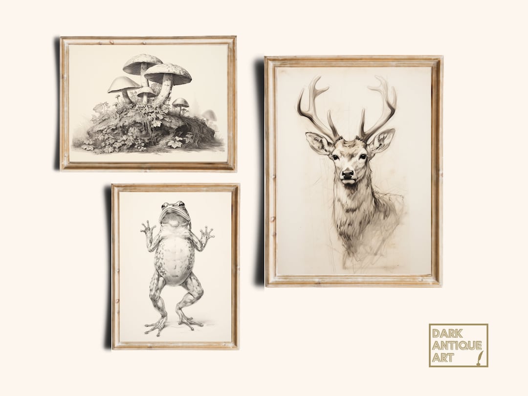 Cottagecore Animal Sketches Printable Wall Art Frog Deer Mushroom ...