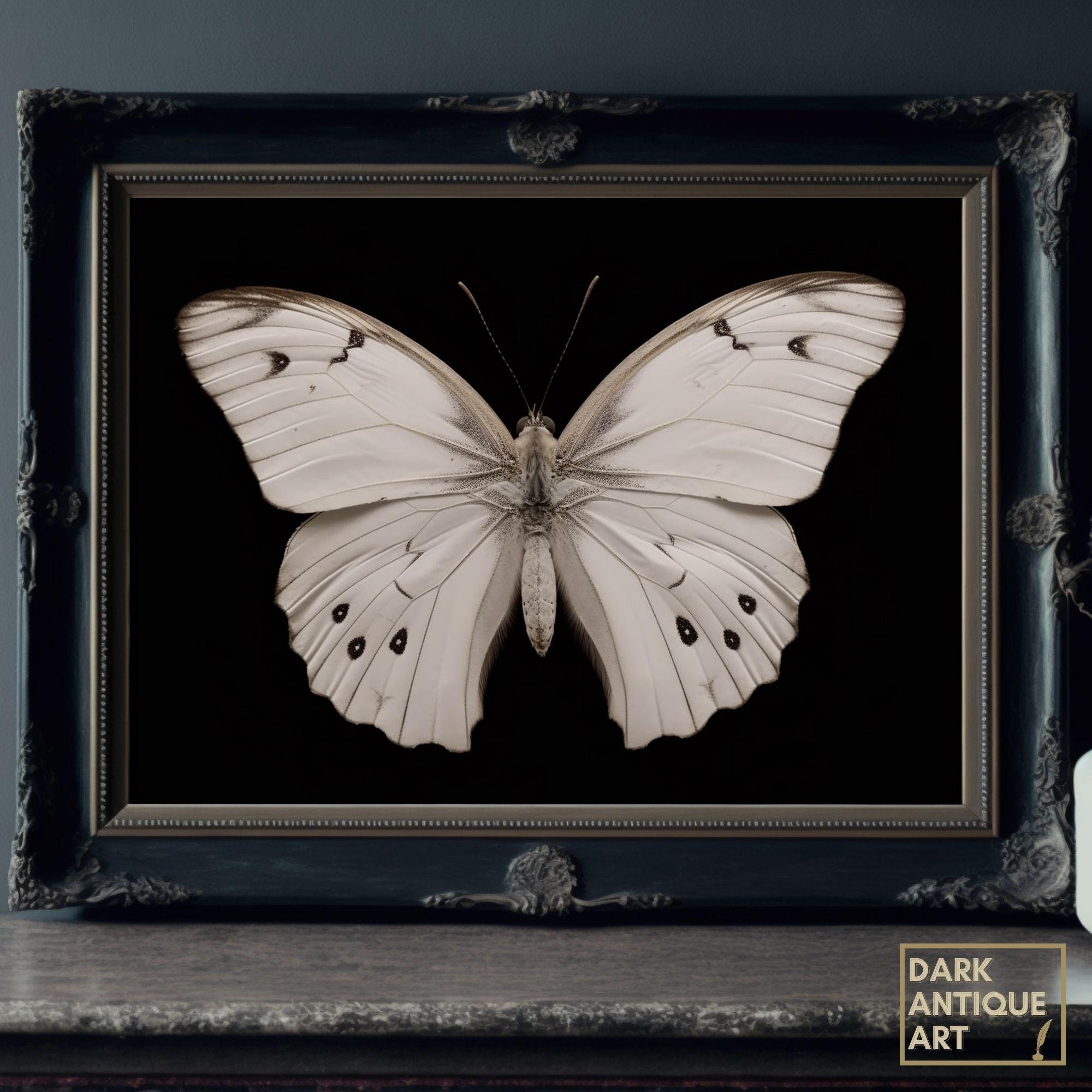 White Butterfly Vintage Butterfly Cottagecore Light - Etsy