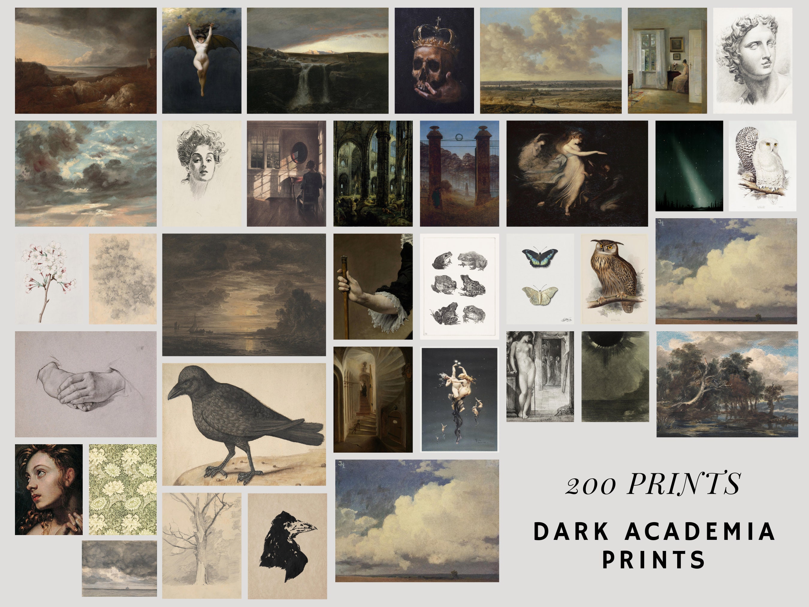 Dark Academia Wall Decor Mega Bundle of 200 Prints Cottagecore Prints ...