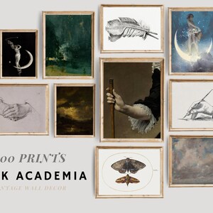 Dark Academia Wall Decor Mega Bundle of 200 Prints Cottagecore Prints ...