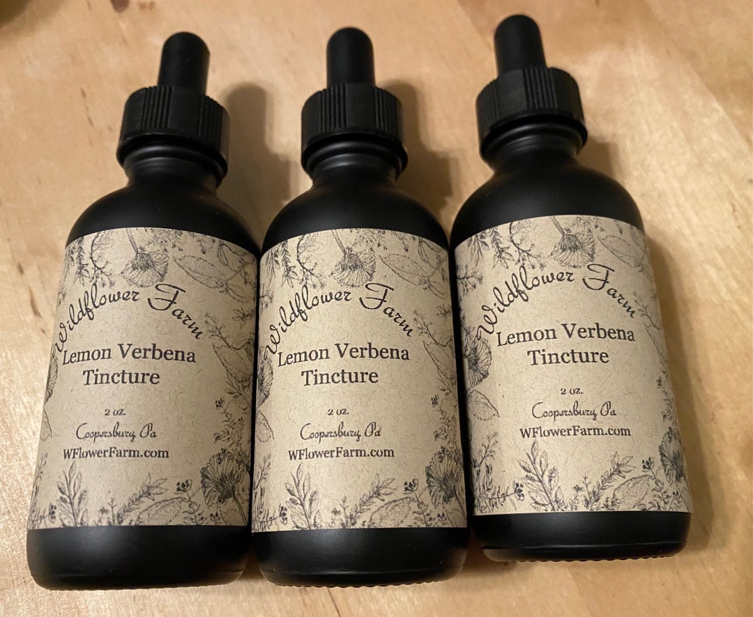 Lemon Verbena Tincture (aloysia Citrodora) - Citrus Symphony for ...