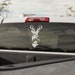 Deer and Bear Vinyl Decal Truck Decal Hunting Decal Window Decal ...