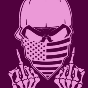 American Flag Skull Middle Finger | Vinyl Decal | Premium Vinyl ...