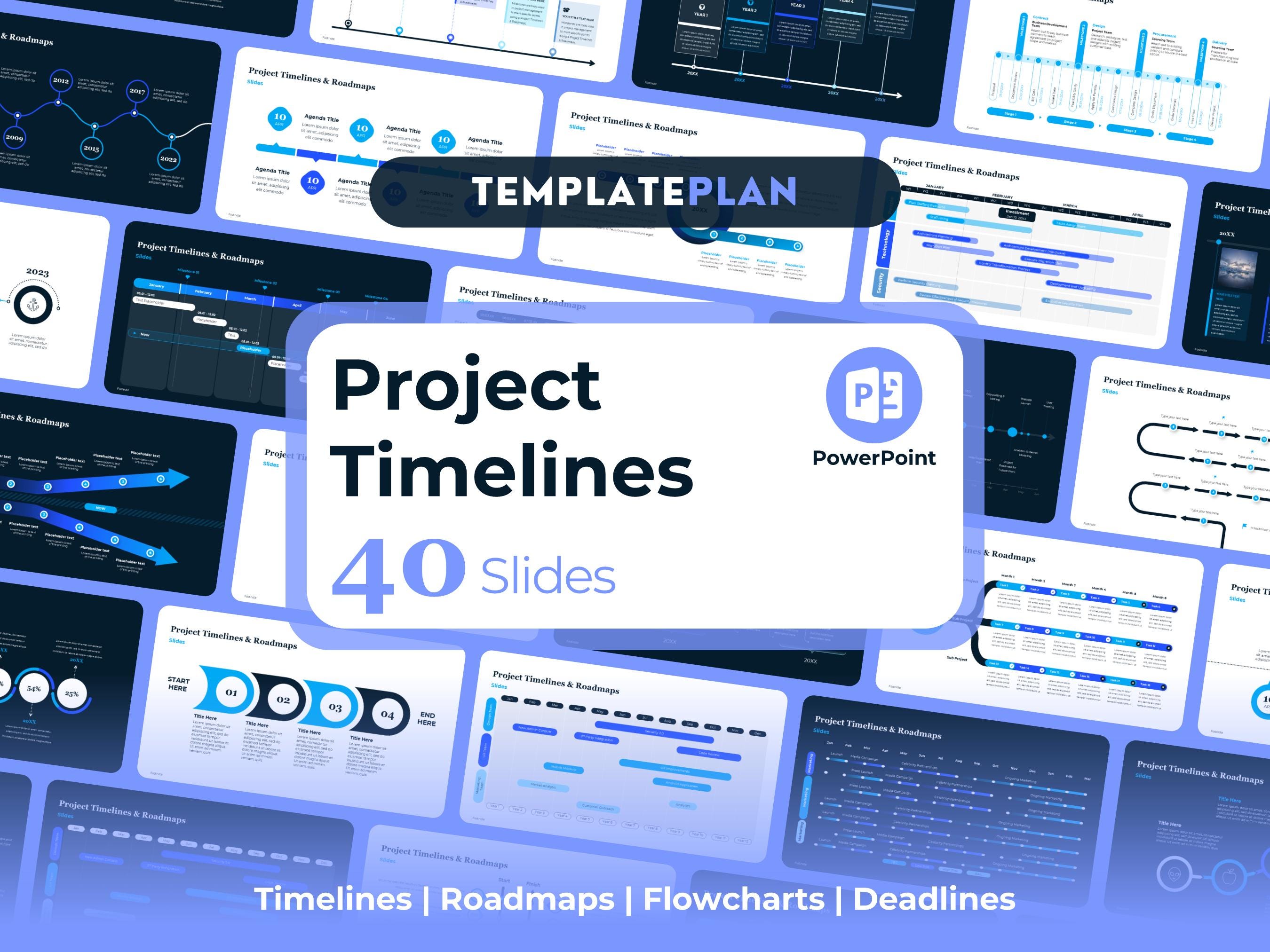 Project Management Timeline Template 2025 | Gantt Chart & Roadmap ...