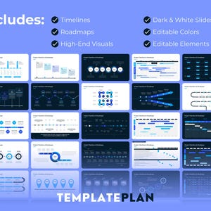Project Management Timeline Template 2025 | Gantt Chart & Roadmap ...