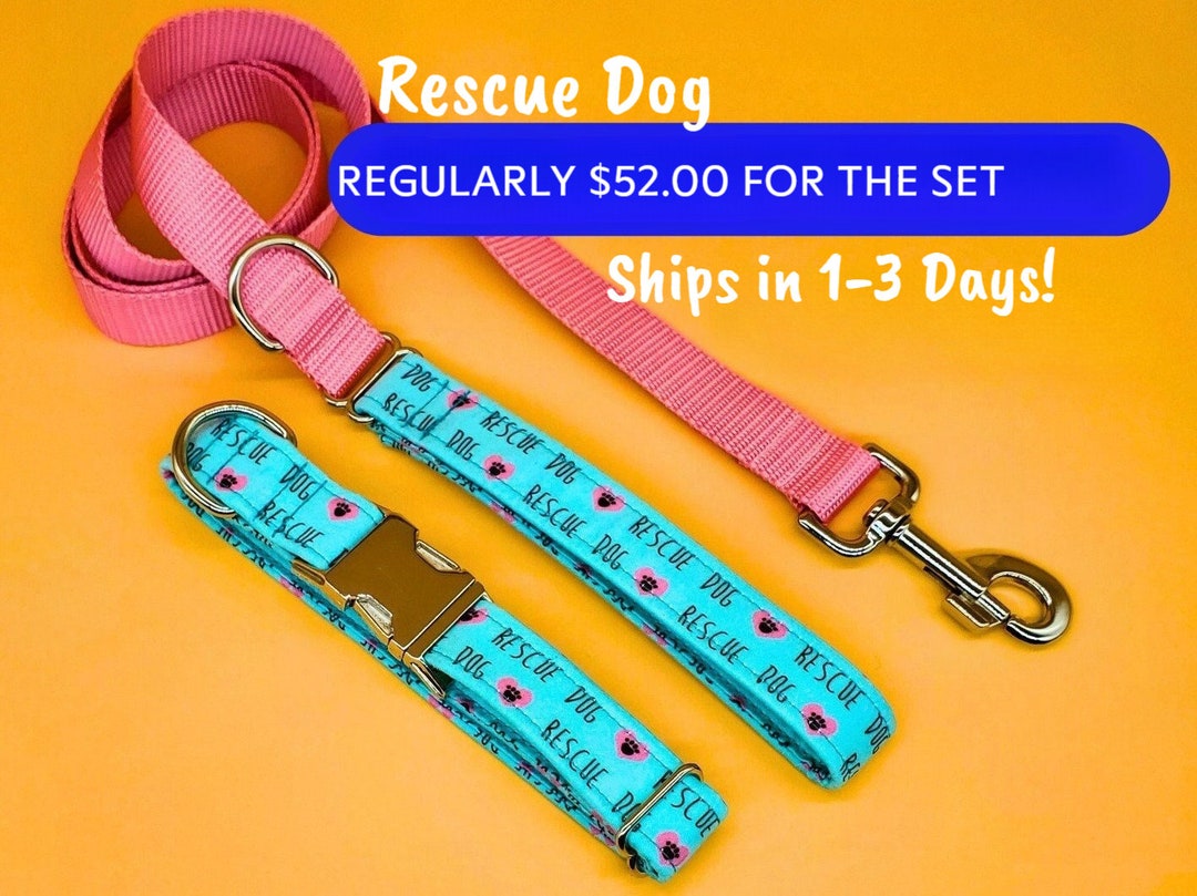 Rescue Dog Clearance Collar & Leash Set Teal Pink Hearts Rehome Rescued ...