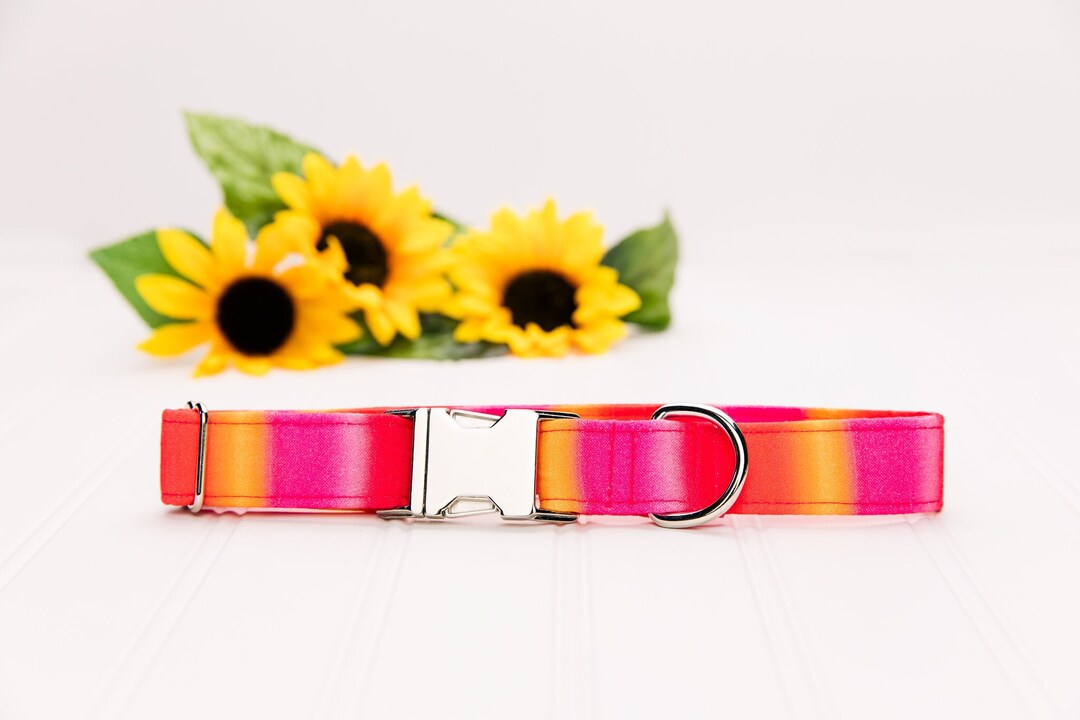 Pink Orange Sunset Ombre Dog Collar. 100% Cotton in Varying Shades of ...