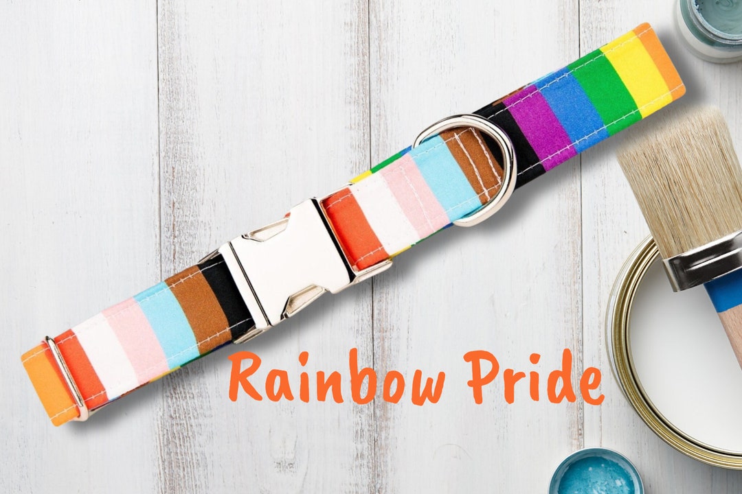 Celebrate Pride, Love & Equality With Your Pup With This Progress Pride ...