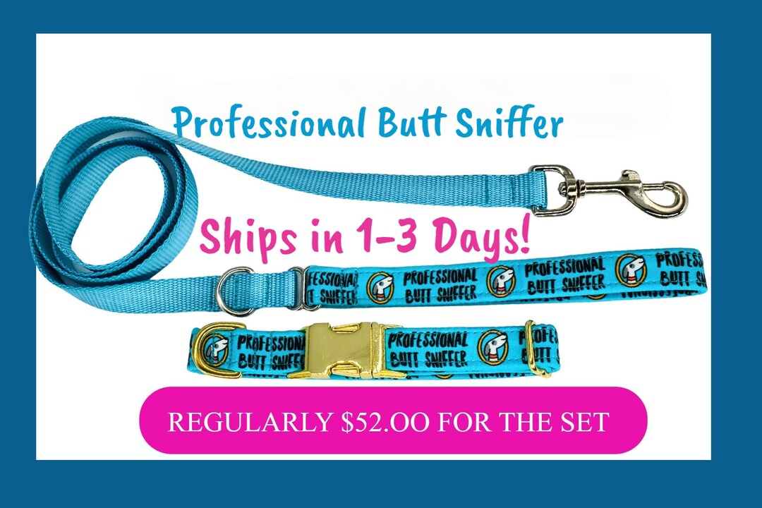 Professional Butt Sniffer Clearance Collar & Leash Set. Black Words on ...
