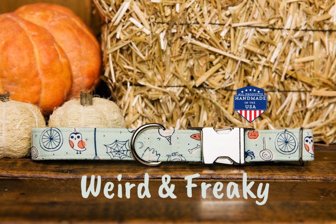 Weird Freaky Cute Dog Collar. Hand Drawn Characters and Objects. Mint ...
