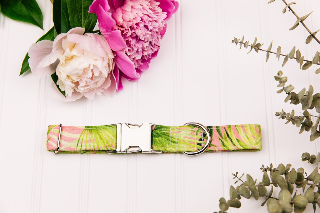 Pink & Green Tropical Foliage Dog Collar.palm Frawn Have That Walk on ...