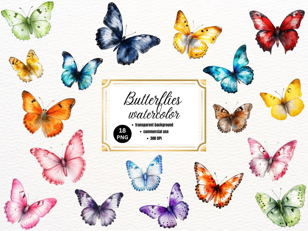 Watercolor Monarch Butterfly Clipart PNG Summer Clipart - Etsy