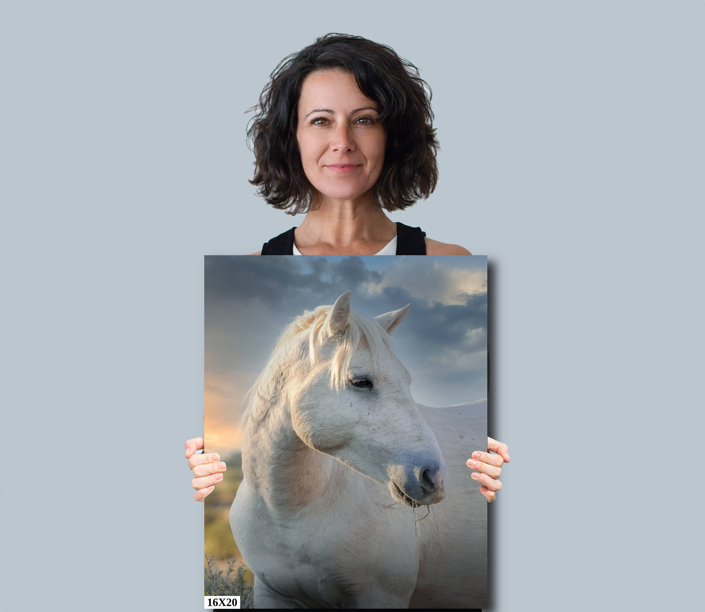 Wild White Mustang Horse Stallion Print / Canvas / Metal / Acrylic ...