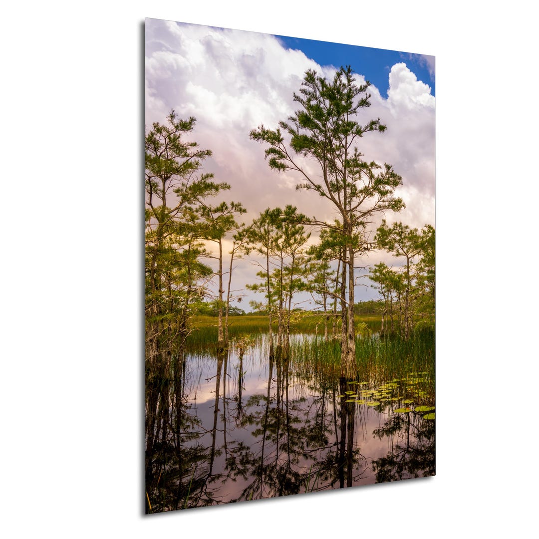 Florida Wetlands Photography Print: Marsh Reflections on Canvas ...