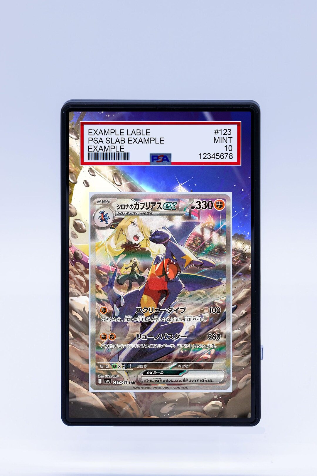 Cynthia's Garchomp (graded) Case - Etsy Canada