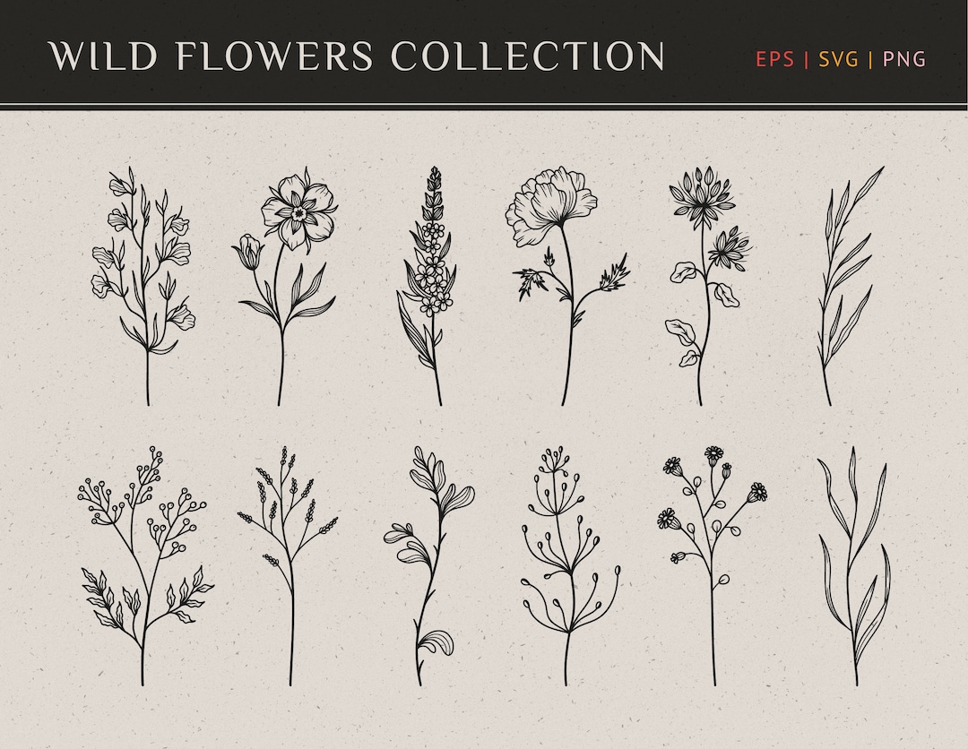 Wildflowers Svg. Flowers With Stems. Decorative Nature - Etsy