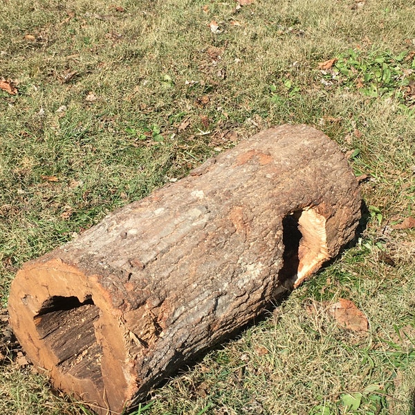Hollow Log for Sale - Etsy