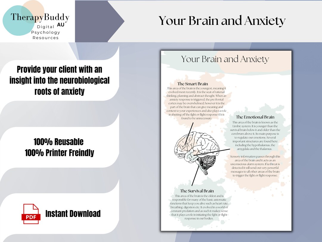 Anxiety and Your Brain Handout - Etsy