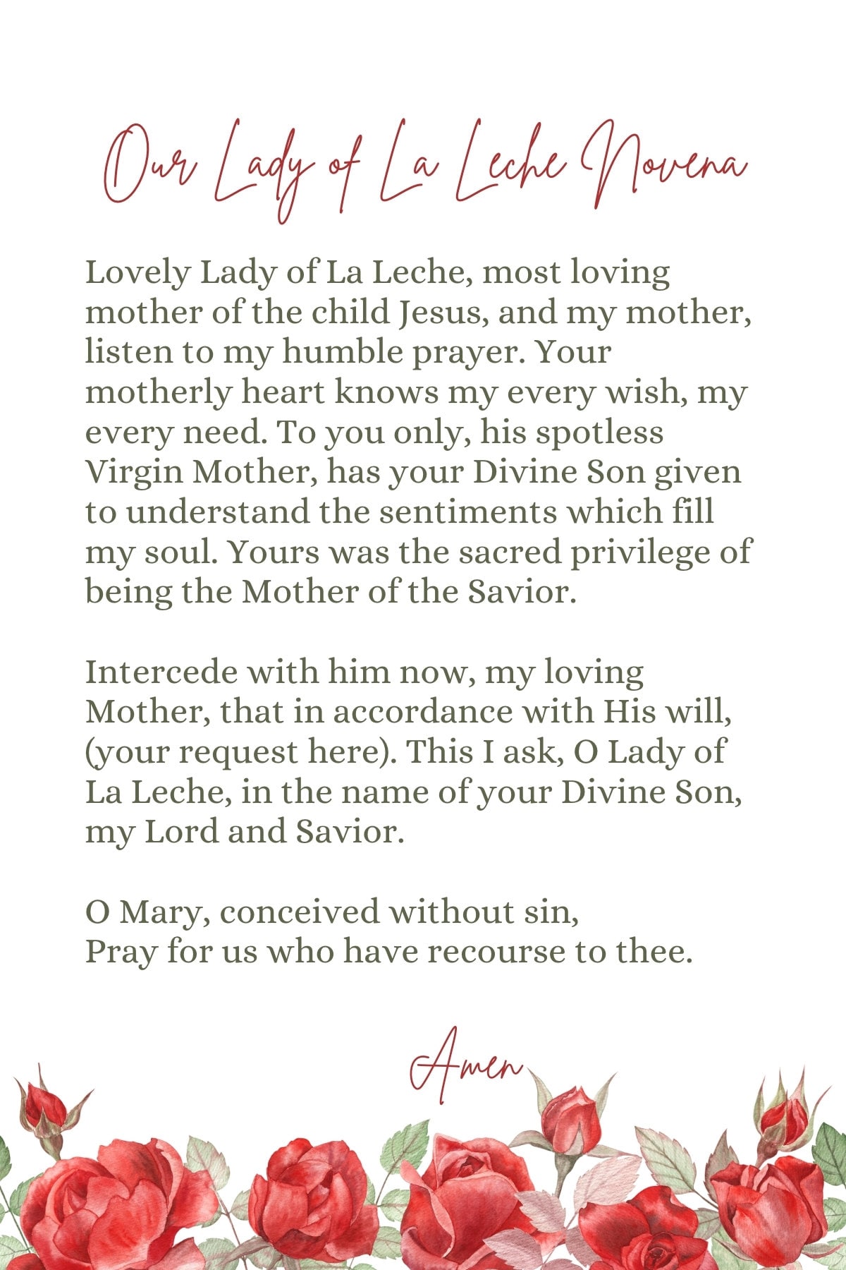 Our Lady of La Leche Novena Prayer Card, Marian Devotion, Virgin Mary ...