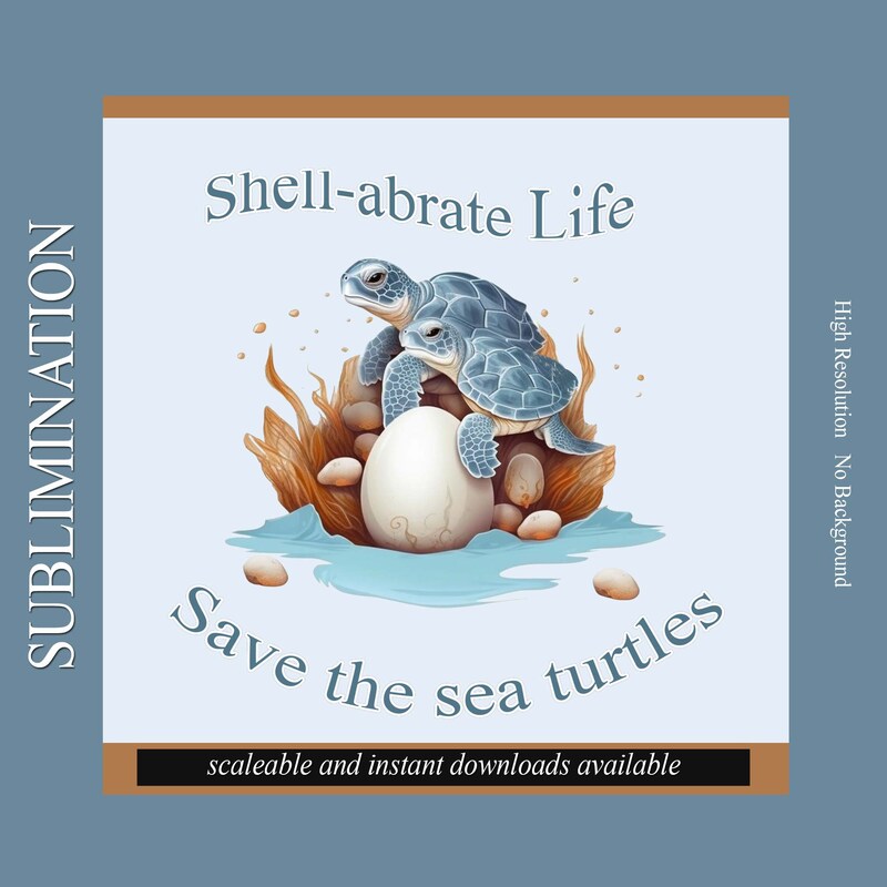 Shellabrate - Etsy