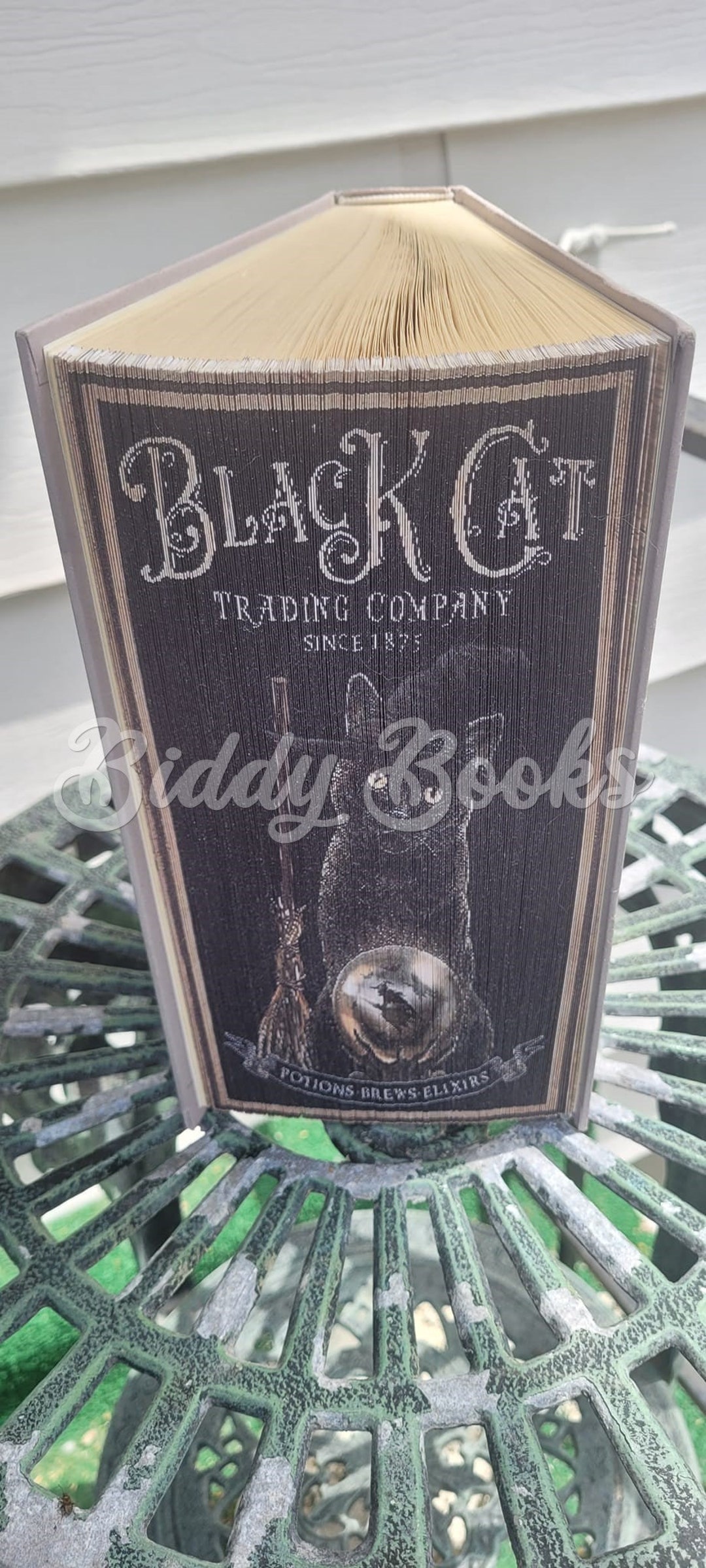 Black Cat Trading Company - Photo Strip, Fore-edged Pattern , Book Art ...