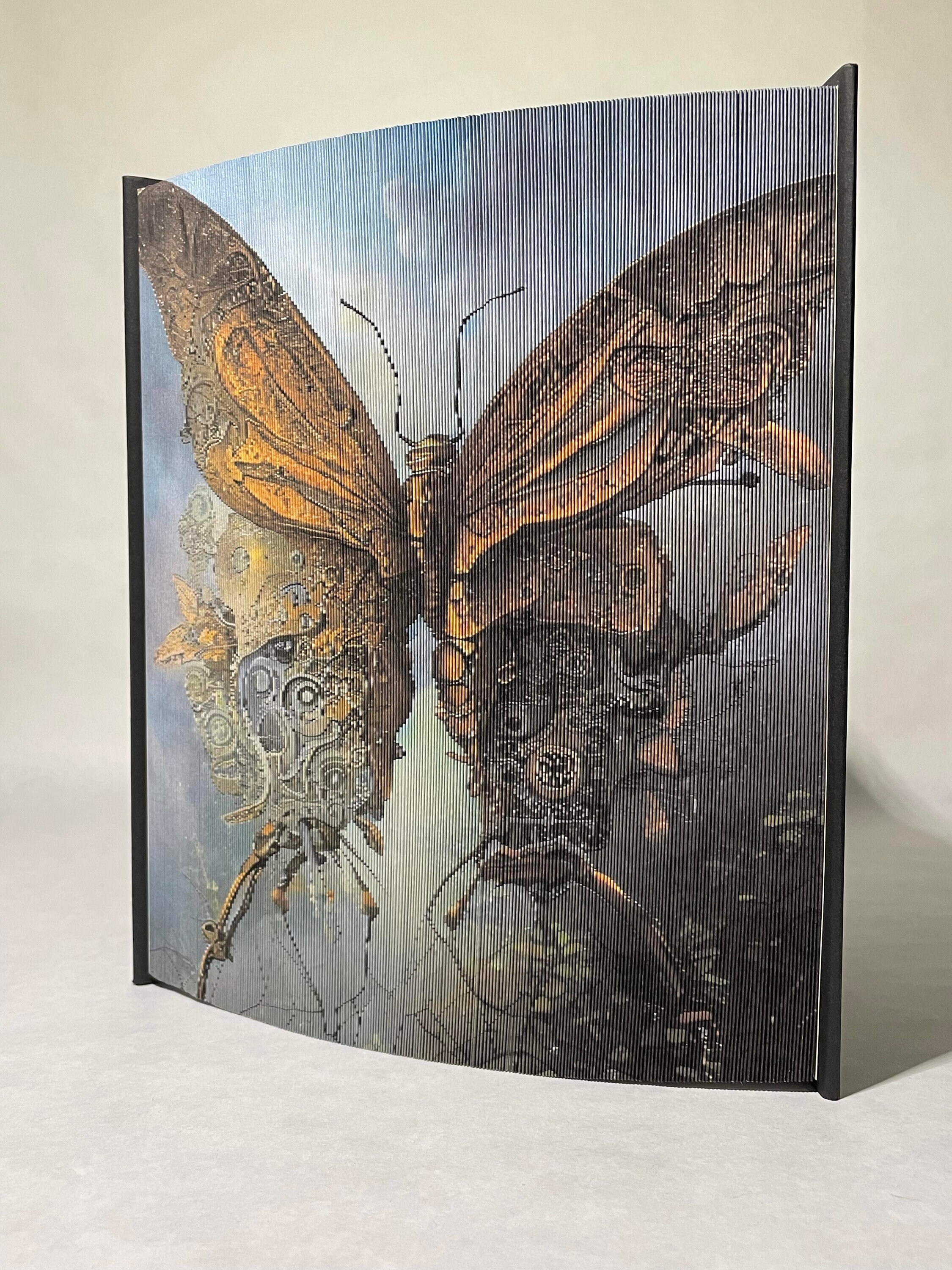 Steampunk Butterfly -photo Edge Pattern - Etsy