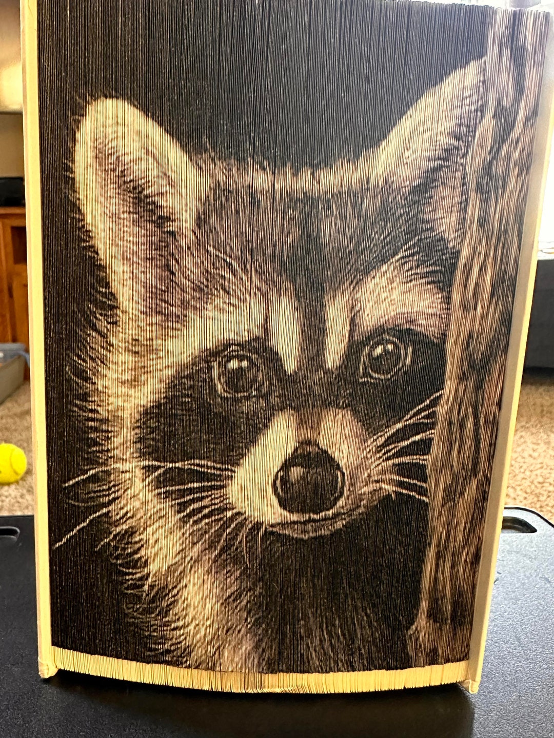 Raccoon Friend- Photo Strip - Etsy