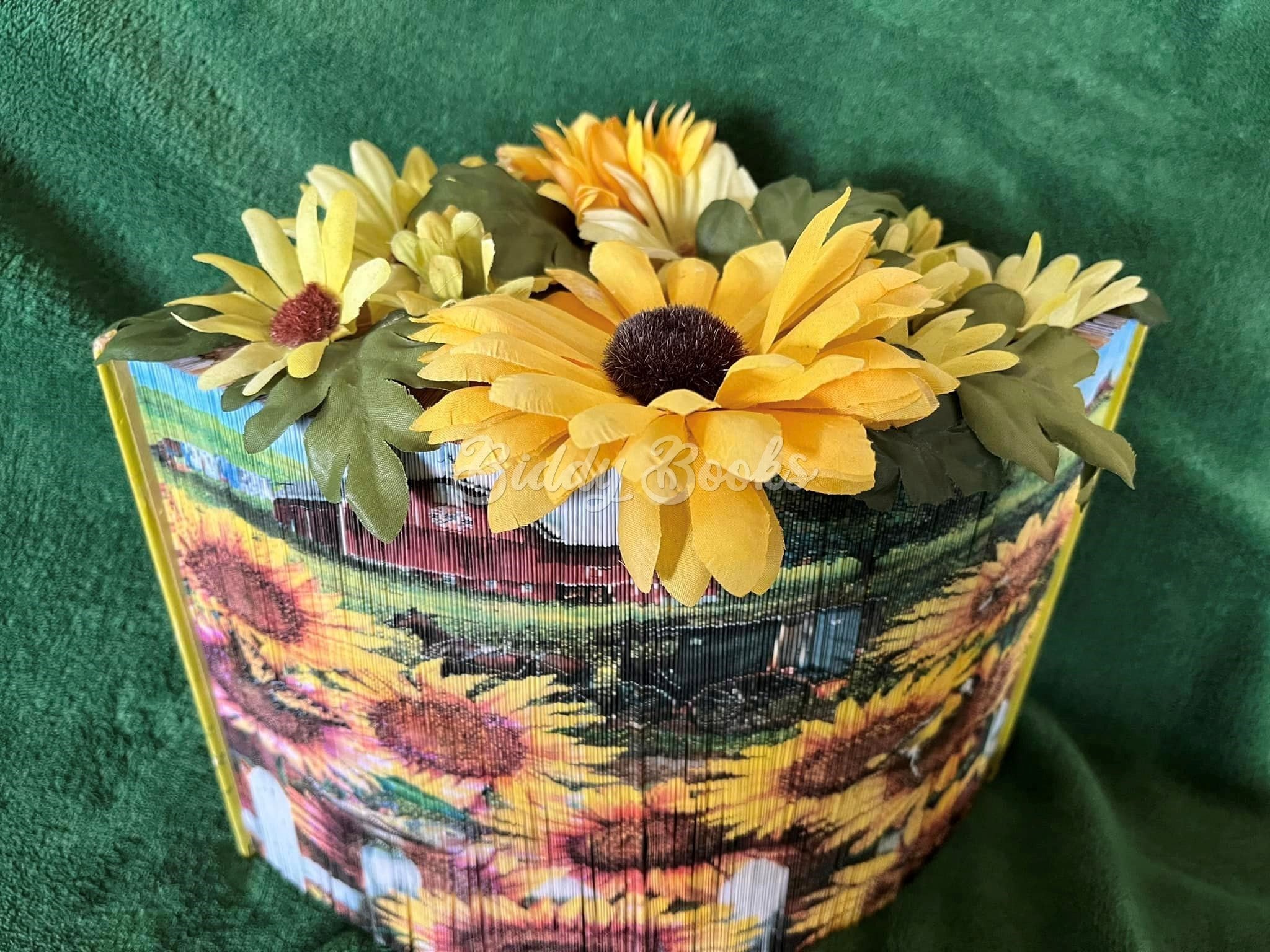 Amish Sunflower Horse and Buggy - Photo Strip, Fore-edged Pattern , Book Art - Etsy