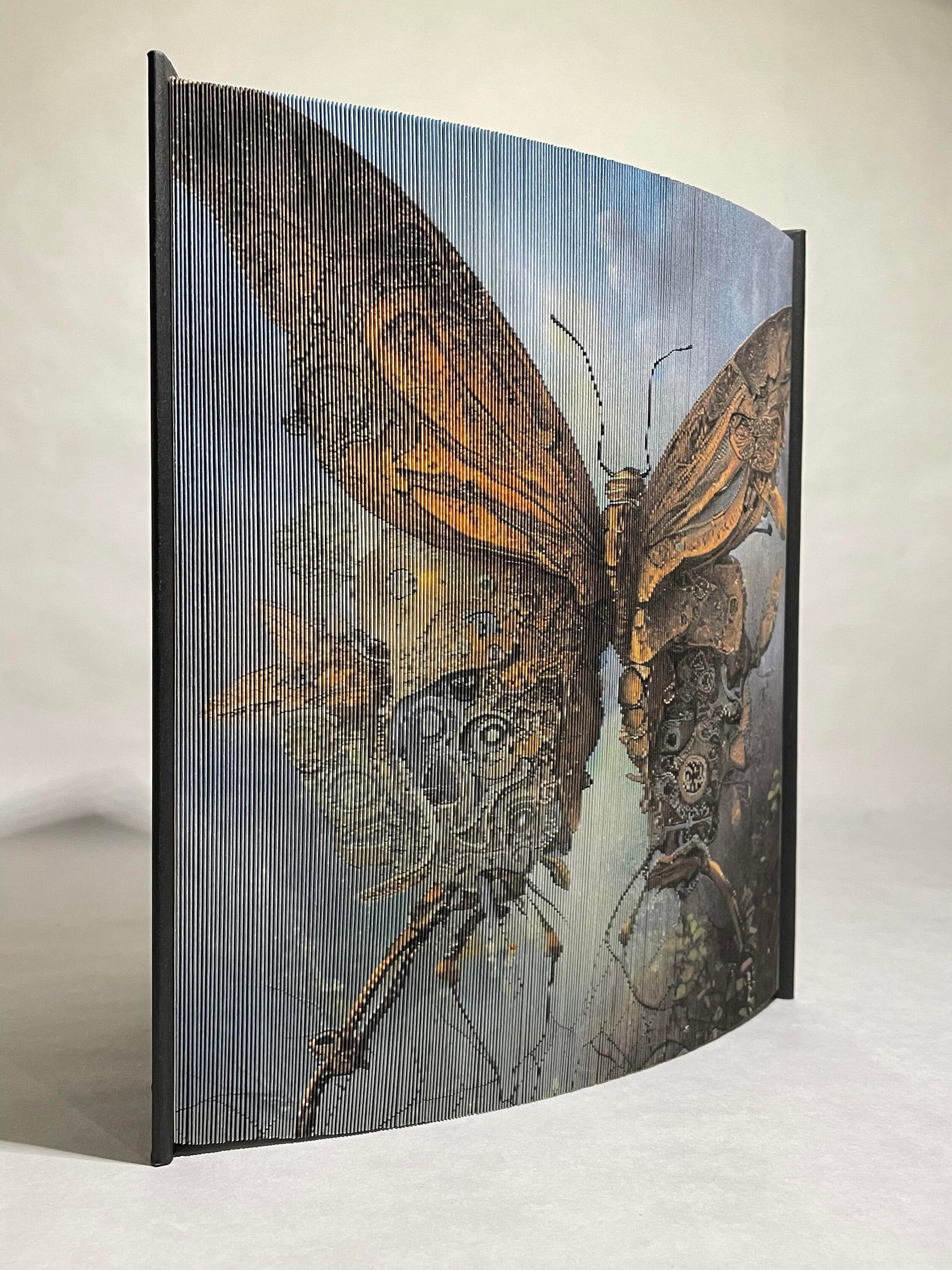 Steampunk Butterfly -photo Edge Pattern - Etsy