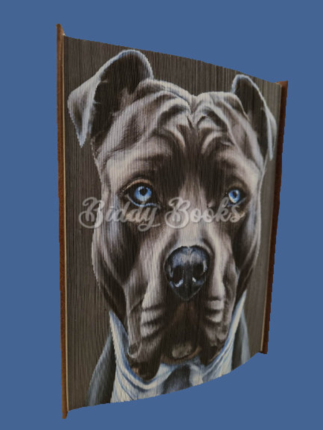 Blue Staffy - Photostrip - Photo Strip- Foredge Pattern - Etsy