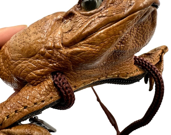 Toad Leather Wallet Real Sugar Cane Toad Full Body Coin Purse Genuine ...