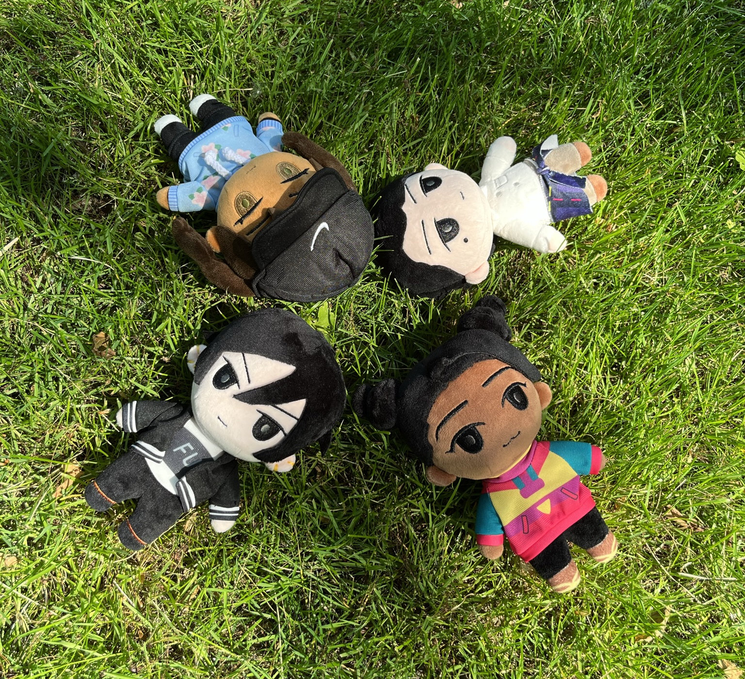 Buy Butterfly Soup Plushies Ages 15 Collectible Item Online in India - Etsy