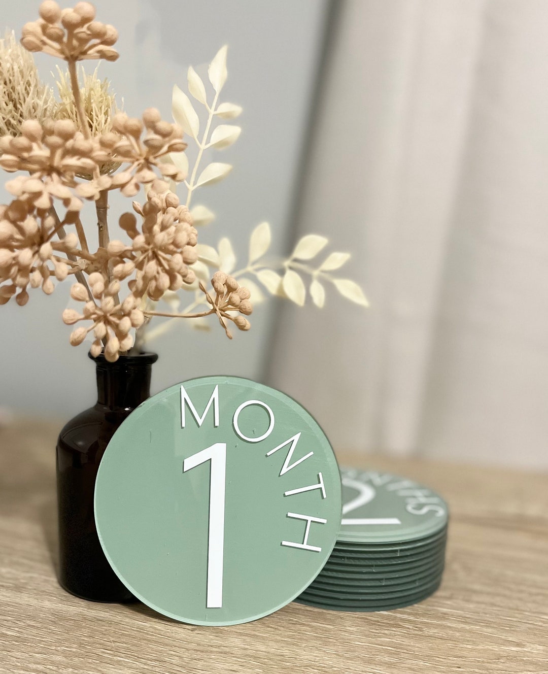 Baby Milestone Acrylic Markers for Babys First Year Monthly Baby Photo ...