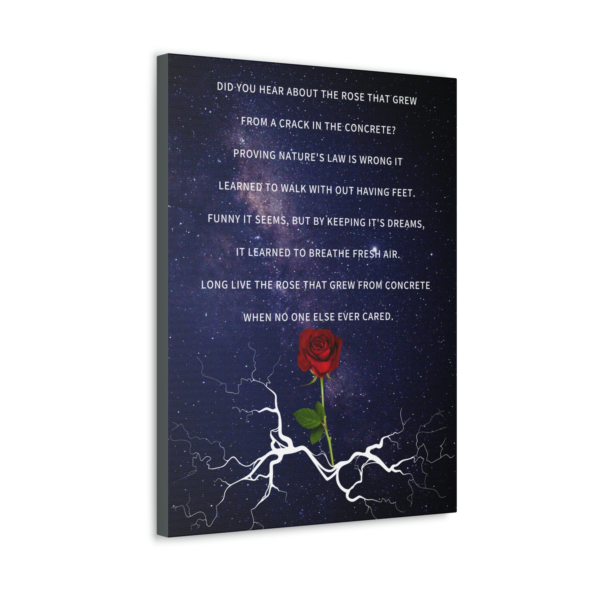 The Rose That Grew From Concrete Book Cover