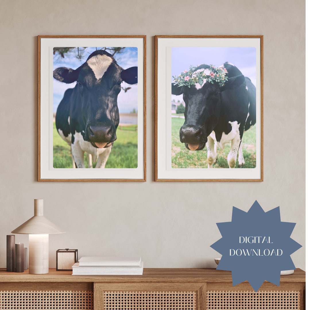 Whimsical Dairy Cow Photos Digital Cow Wall Art Cow Picture Download - Etsy
